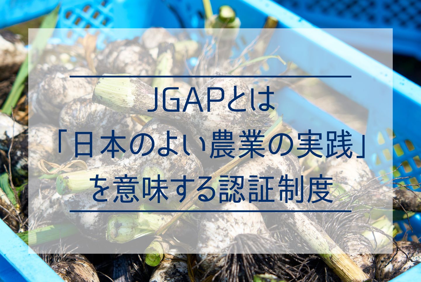 JGAP認証農場の農産物は安全安心！JGAPの概要から取得するメリット、流れまで解説 - 【公式】株式会社gella│にんにくの生産・販売