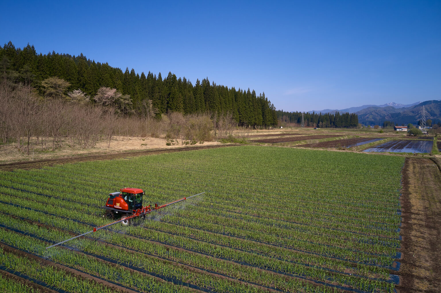 JGAP認証農場の農産物は安全安心！JGAPの概要から取得するメリット、流れまで解説 - 【公式】株式会社gella│にんにくの生産・販売